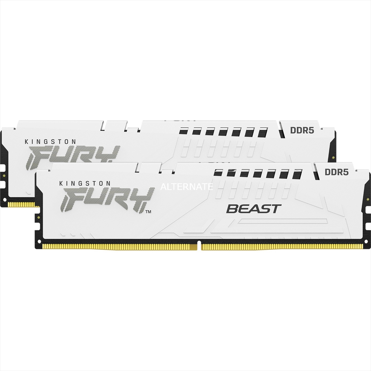 KF560C40BWK2-64 | 288pin DDR5 SDRAM (DDR4と互換性なし) | デスクトップ用メモリ | PCパーツと ...